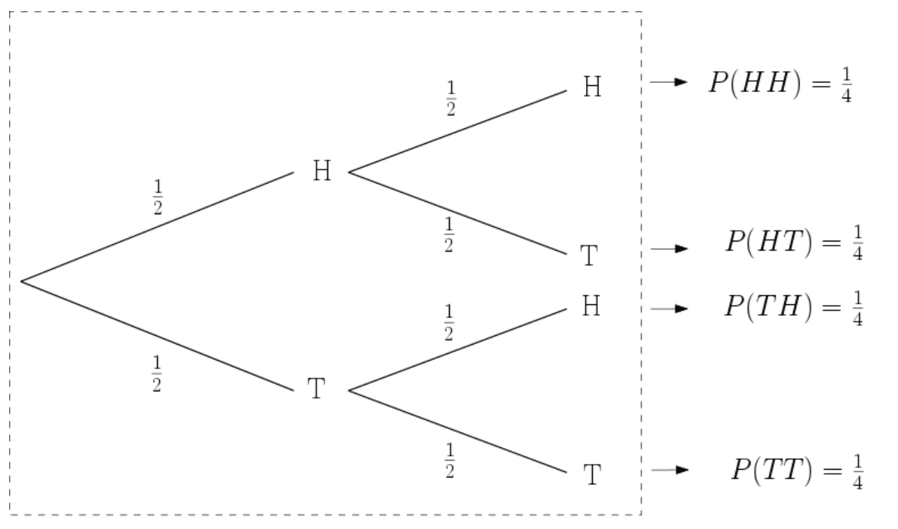 Tree Diagrams StudyWell Tree Diagrams StudyWell